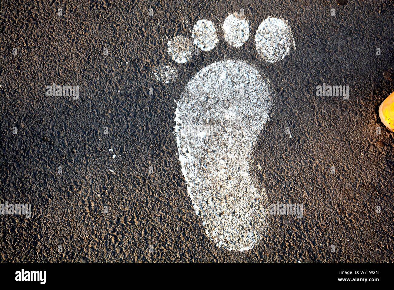 View of the pedestrian crossing featuring numerous white footprints in ...
