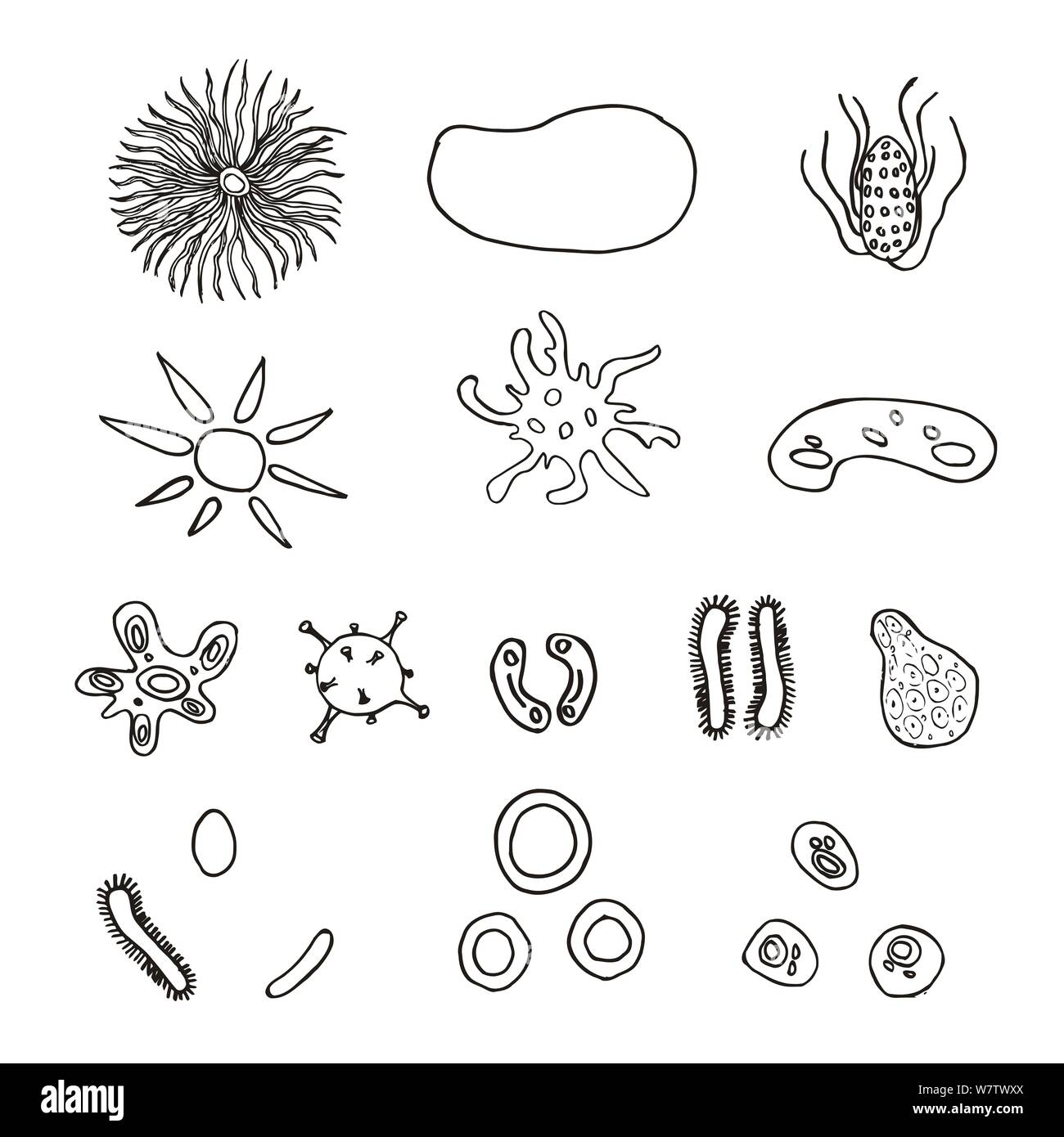 Drawing Bacteria Stock Photos & Drawing Bacteria Stock Images - Alamy