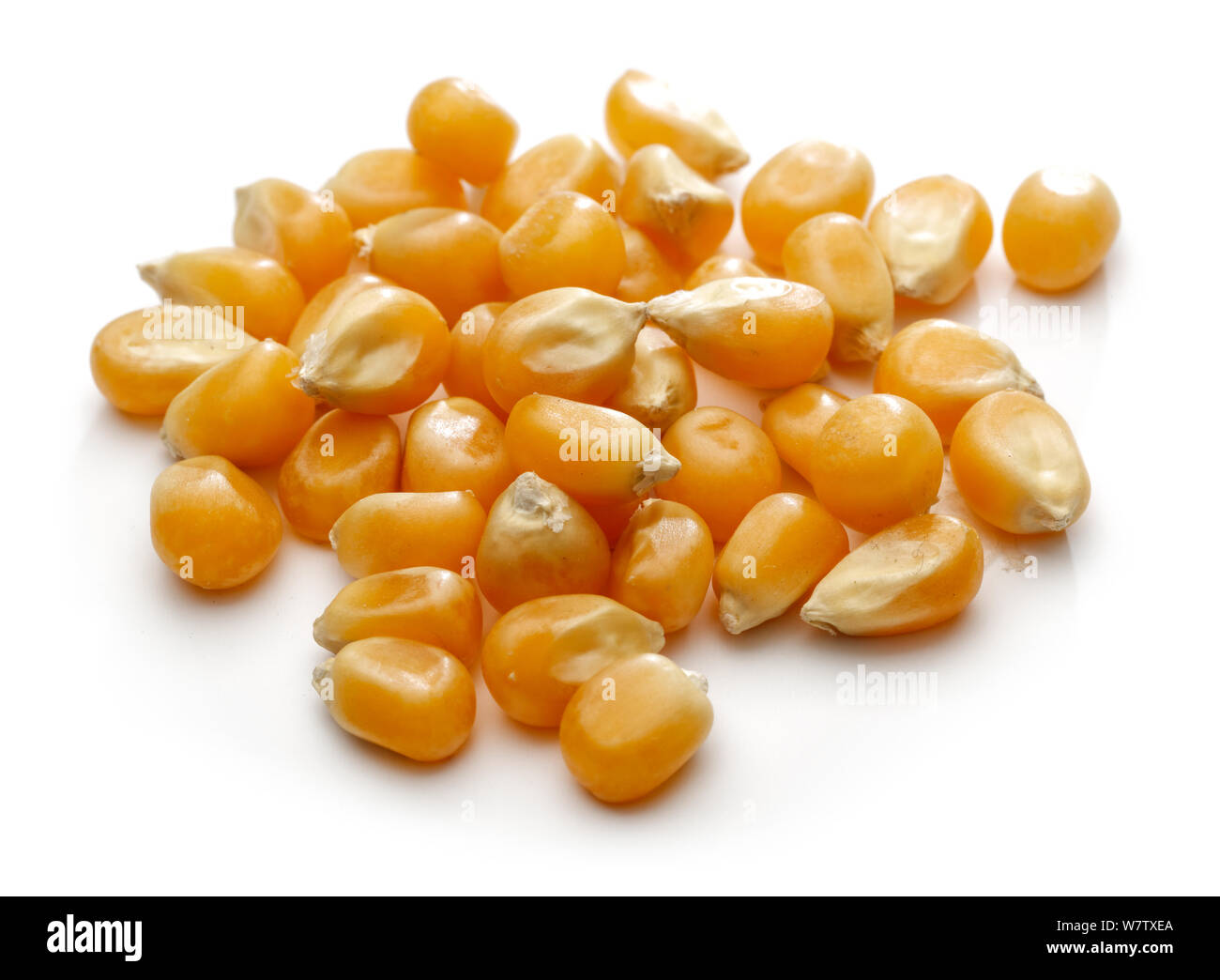 Heap of golden corn grains isolated on white background Stock Photo - Alamy