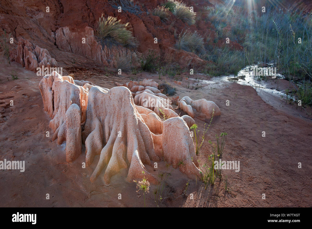 Red Tsingys - red laterite rock formation, Madagascar, June 2013 Stock ...