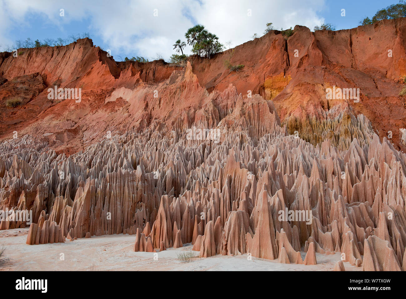Red laterite hi-res stock photography and images - Alamy