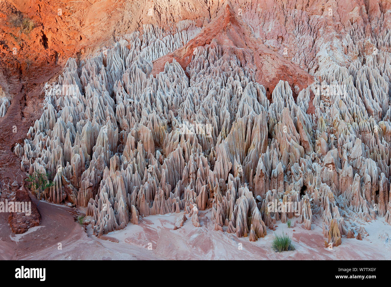 Red laterite hi-res stock photography and images - Alamy