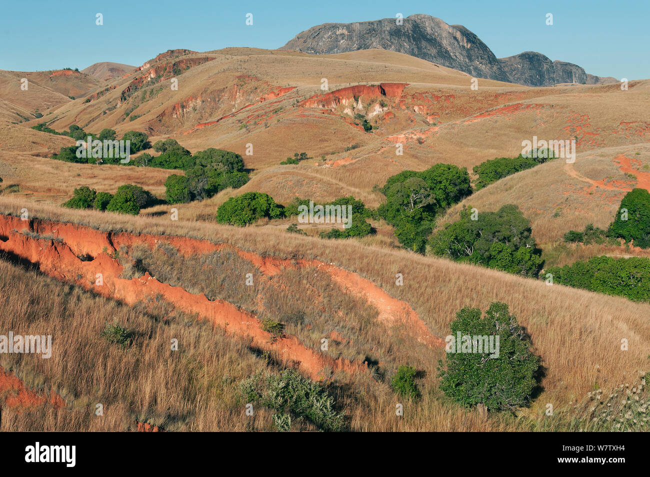Scenery over the central plateau showing deforestation and erosion ...