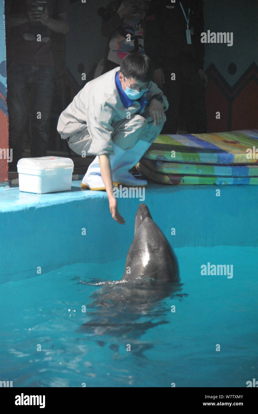 China dol hi-res stock photography and images - Alamy