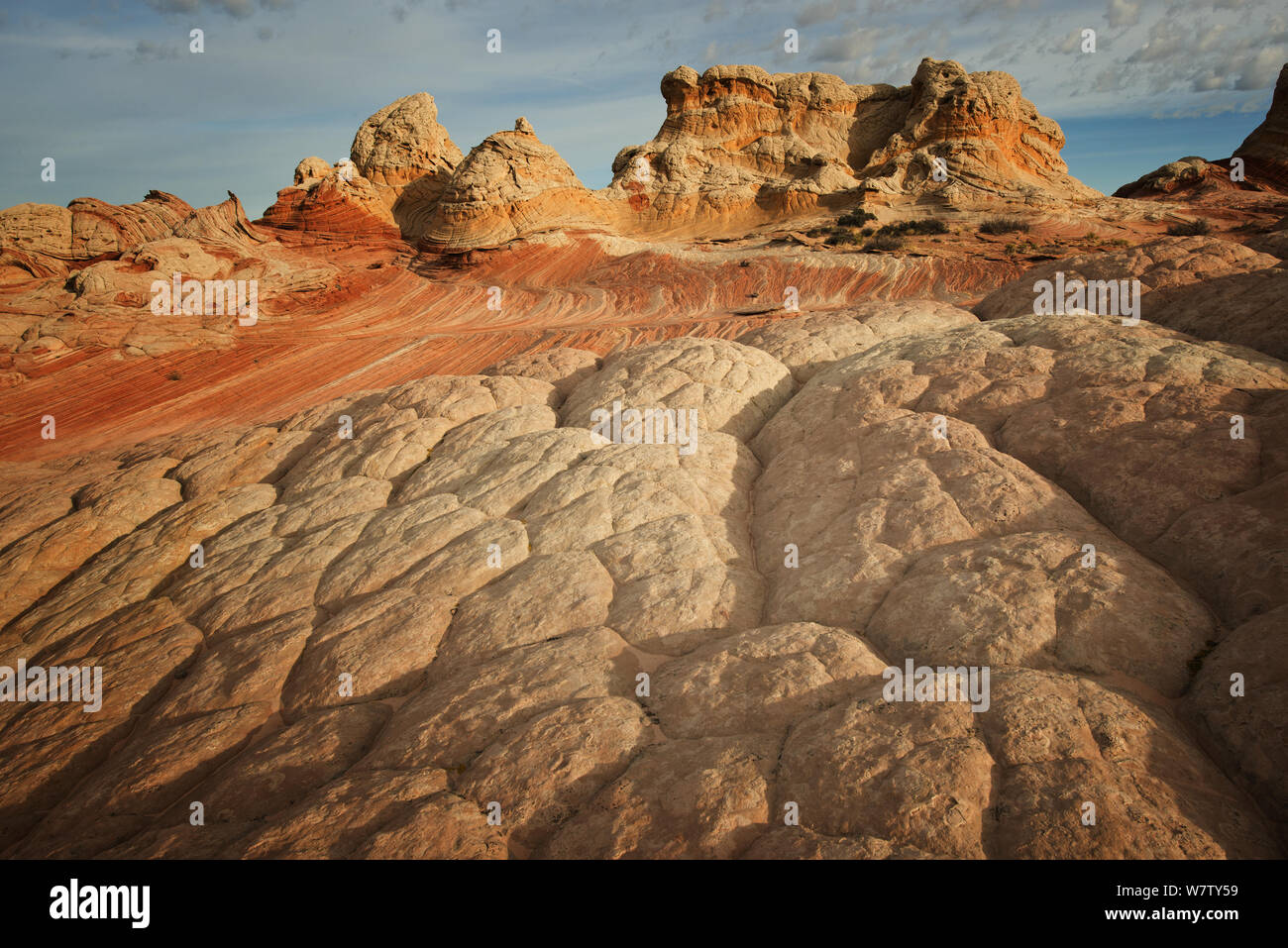 Sandstone formations in White Pockets, Vermillion Cliffs National ...