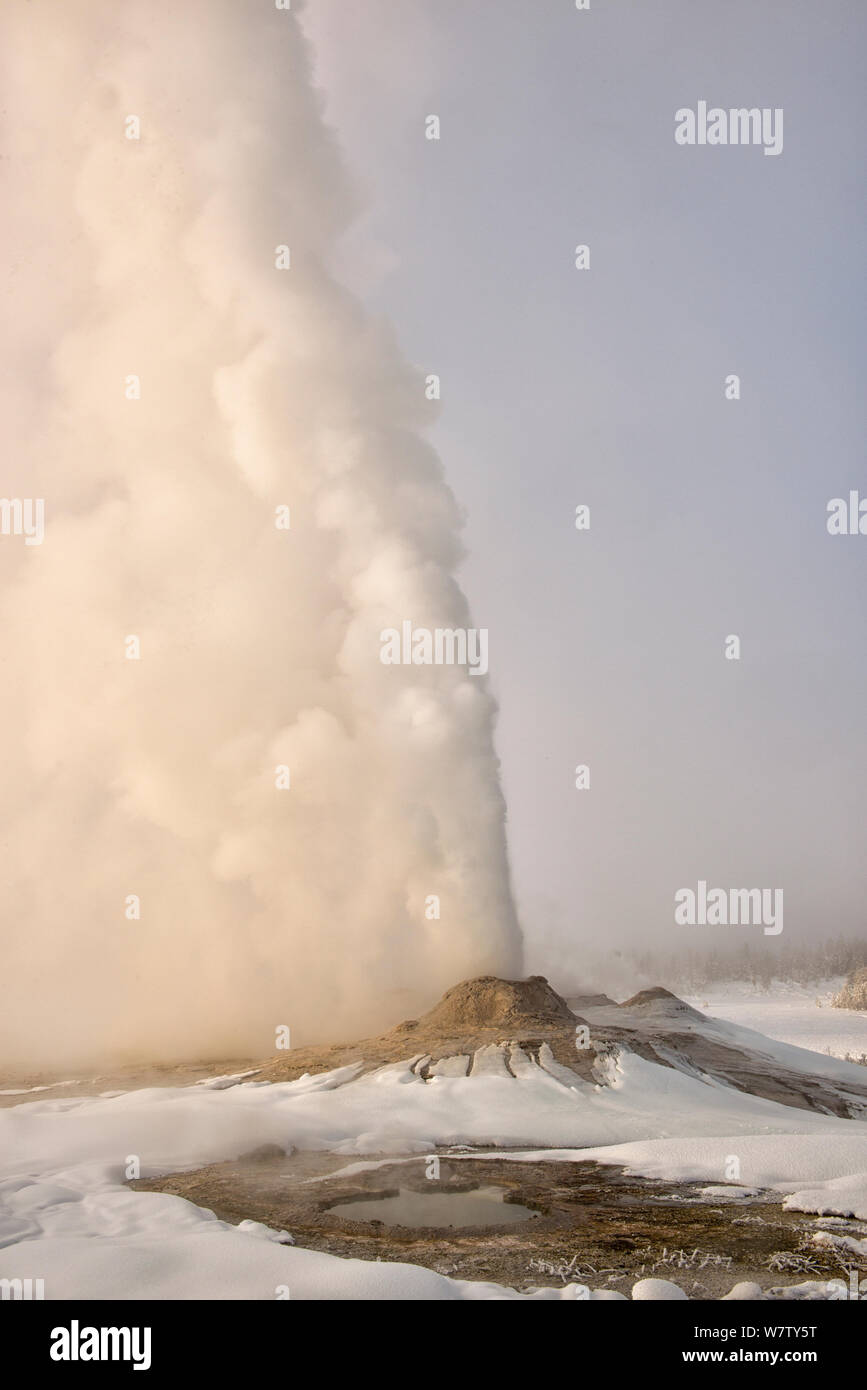 Lion Geyser on the Geyser Hill Group of Geysers. Upper Geyser Basin ...