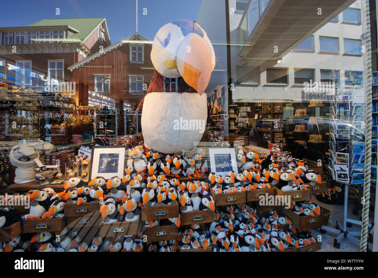 Iceland shop window hi-res stock photography and images - Alamy