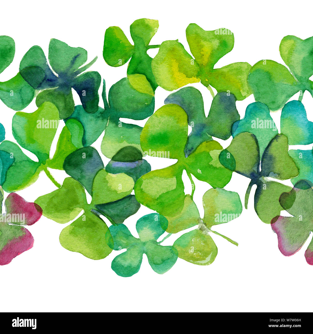 Watercolor hand drew clover leaves in seamless border on white ...