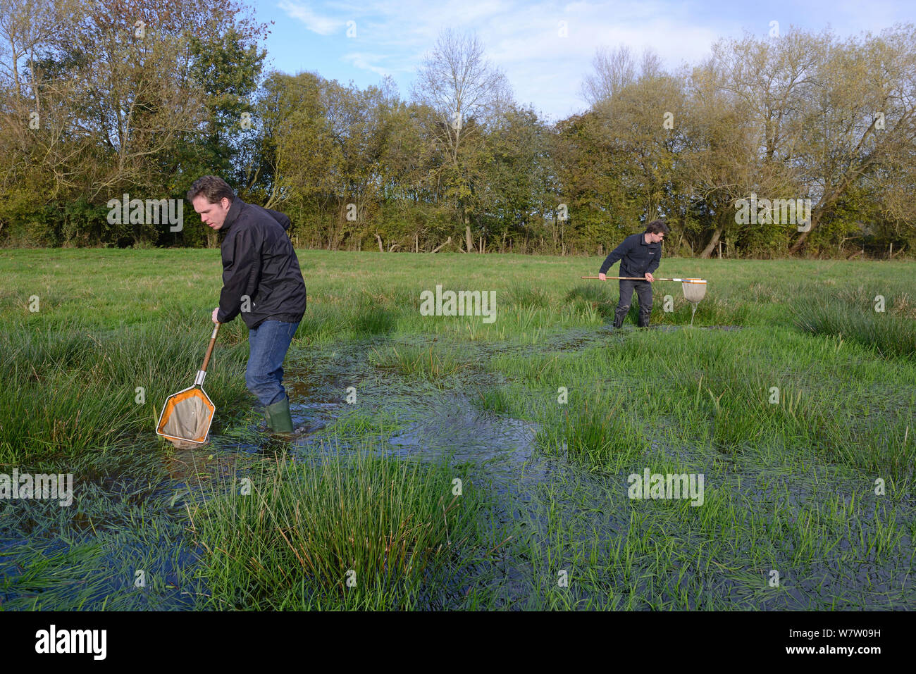 Dip netting hi-res stock photography and images - Alamy