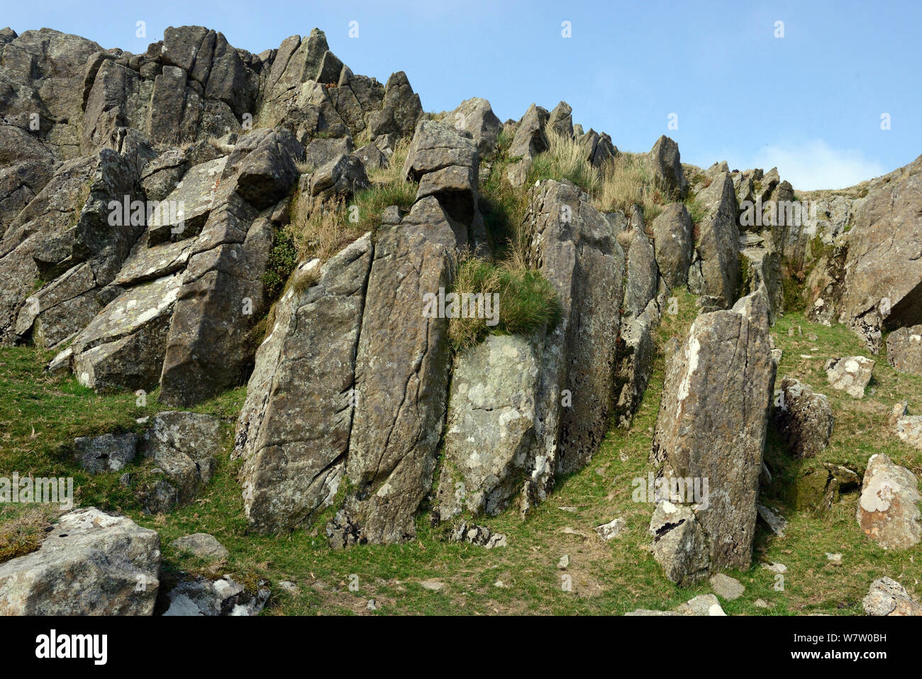 Dolerite slabs at Foel Drygarn, a source for the blue stones at ...