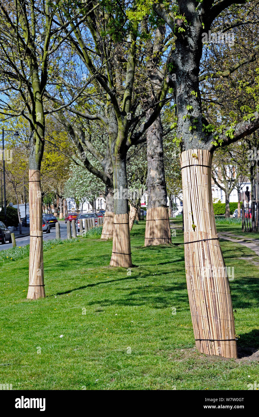 Bamboo guards hi-res stock photography and images - Alamy