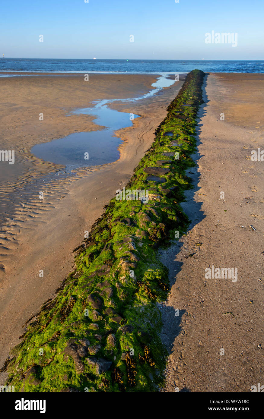 ebb sand beach in norderney, travel germany wattenmeer Stock Photo - Alamy