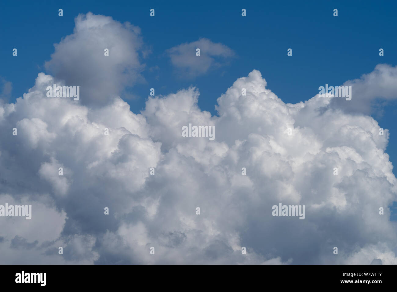 Cumulonimbus calvus, a developing thunderhead cloud Stock Photo - Alamy