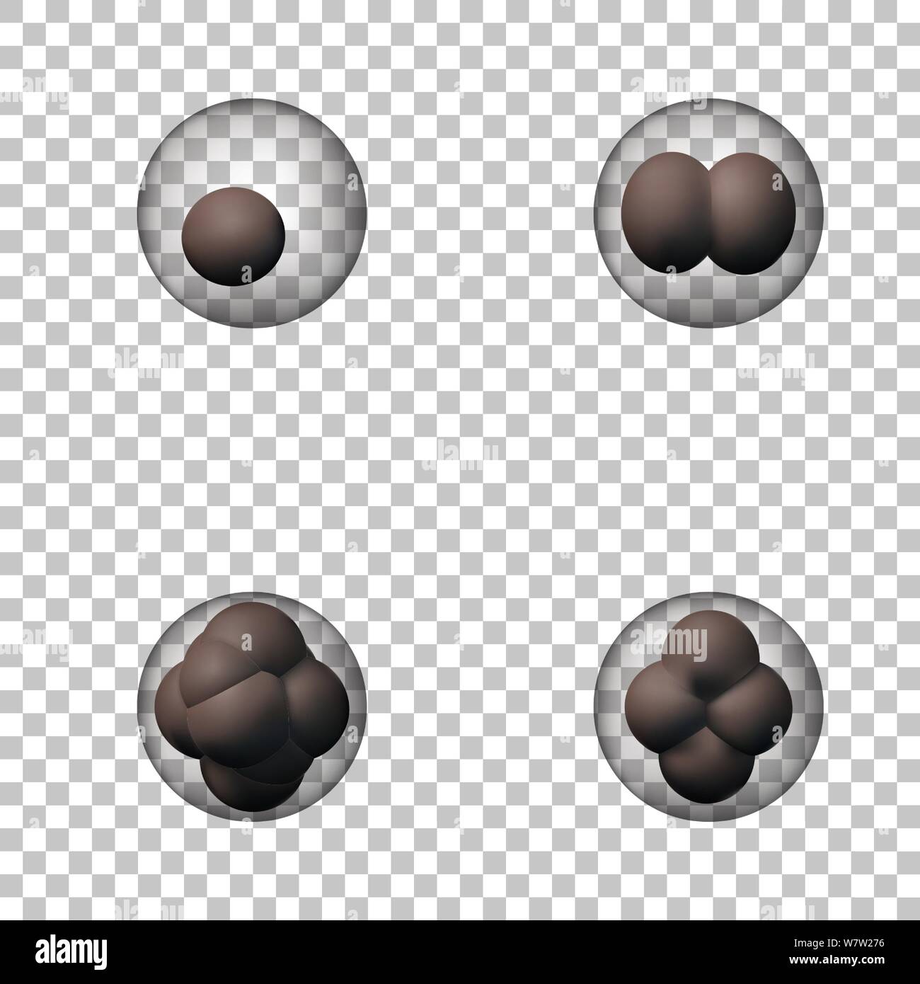 Diagram human life cycle embryo hi-res stock photography and images - Alamy