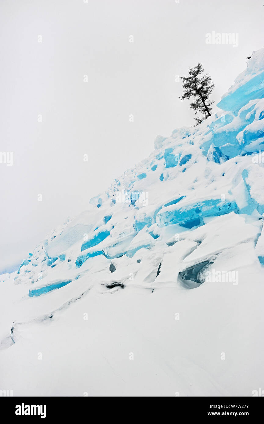 Siberia snow landscape hi-res stock photography and images - Alamy