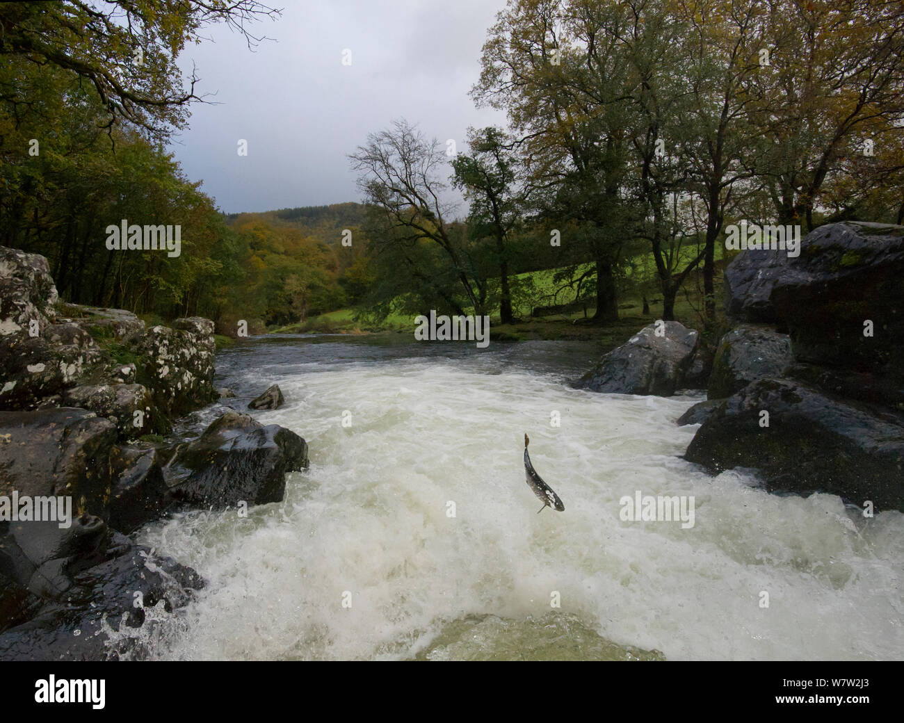 Jumping into waterfall hi-res stock photography and images - Alamy