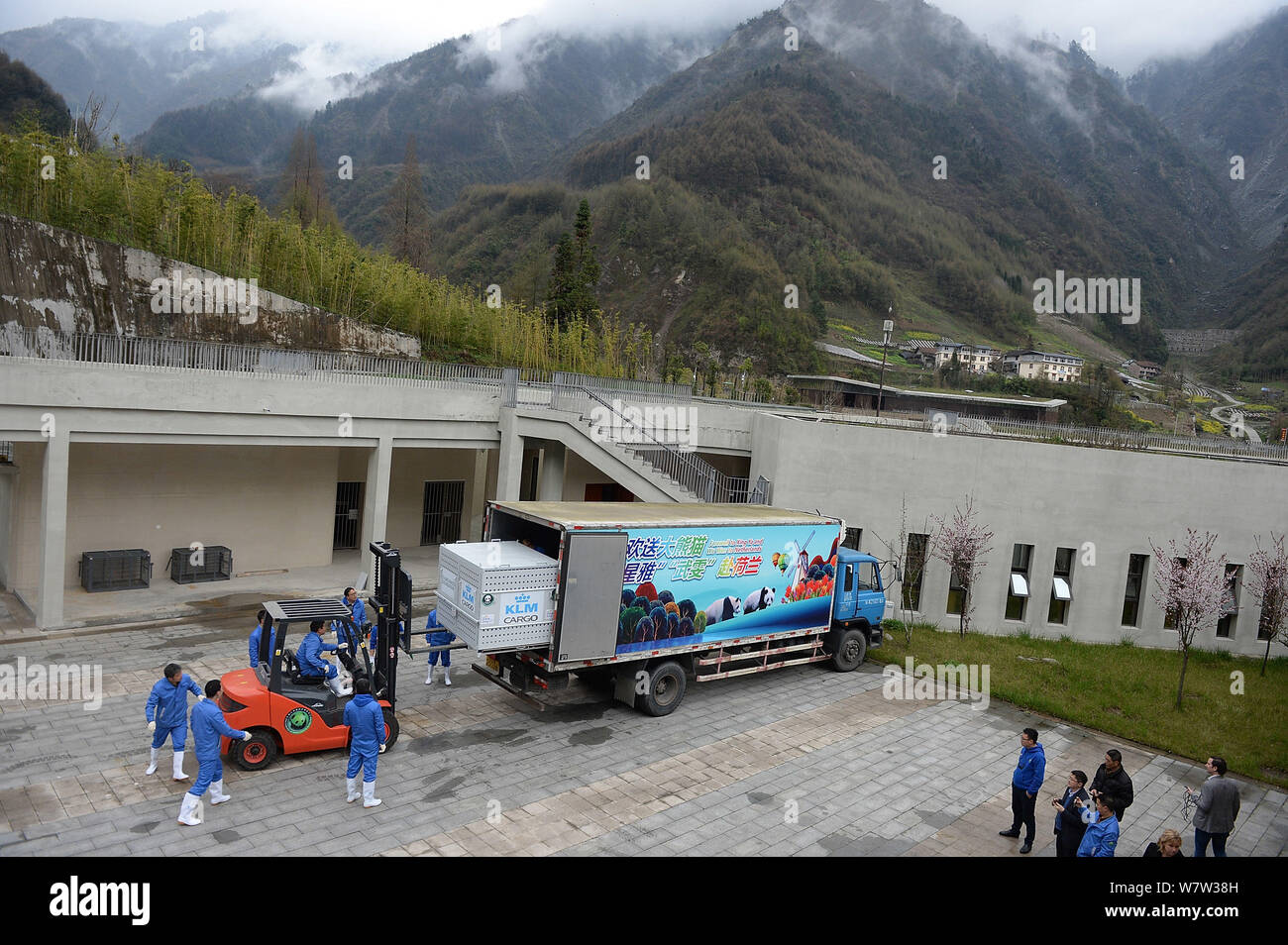 Chinese workers load a pair of giant pandas Xing Ya and Wu Wen onto a ...