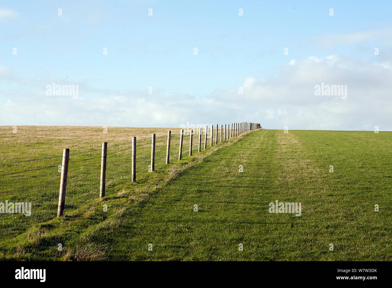 Fence line dividing two grassland pastures and disappearing over the ...