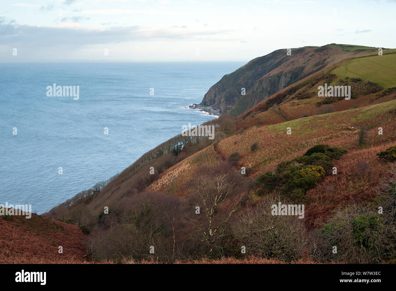 Devon landscape hi-res stock photography and images - Alamy