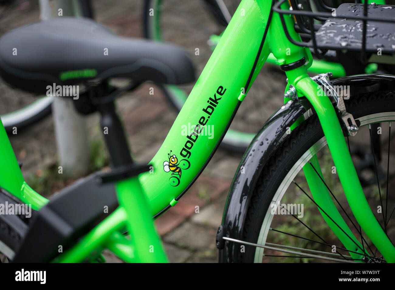 --FILE--View of the logo of Chinese bike-sharing service Go Bee Bike in ...