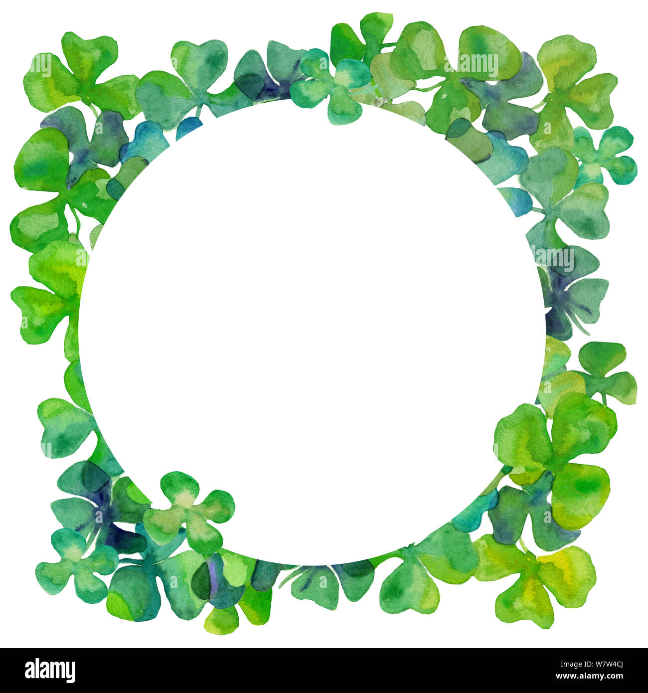 Watercolor hand drew clover leaves in round frame isolated on white ...