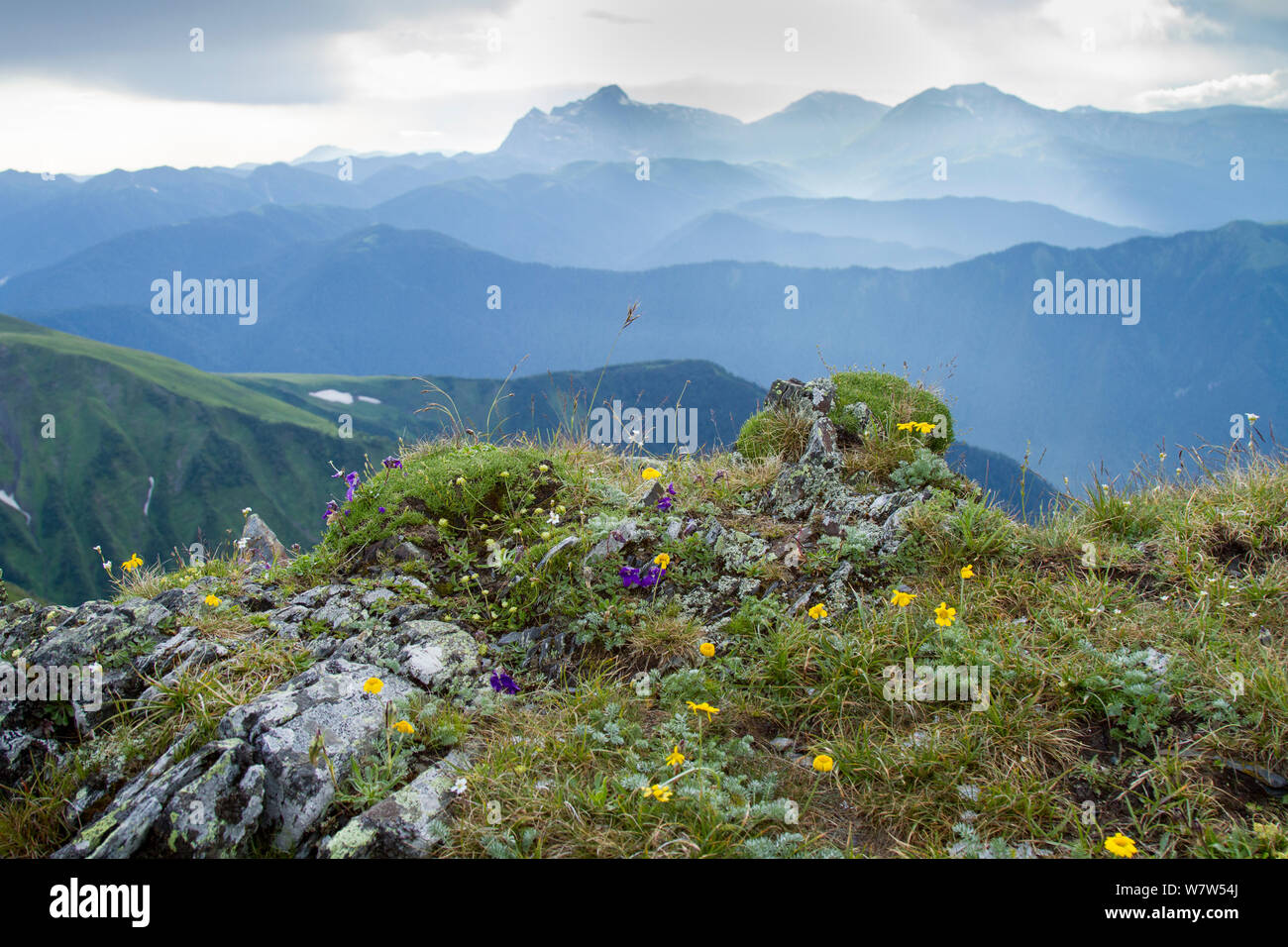 Zapovednik hi-res stock photography and images - Alamy