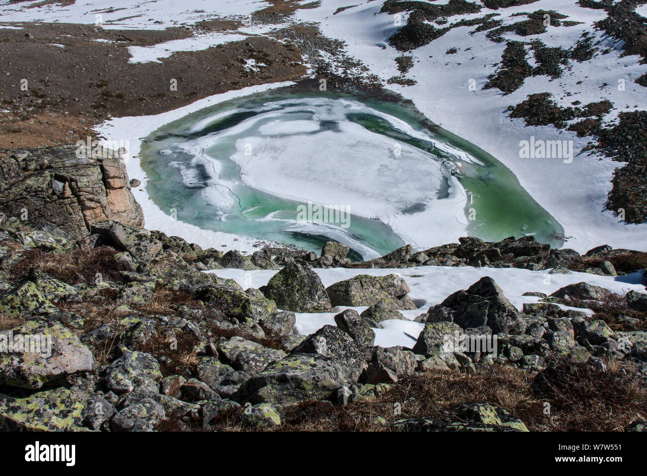 Zapovednik hi-res stock photography and images - Alamy