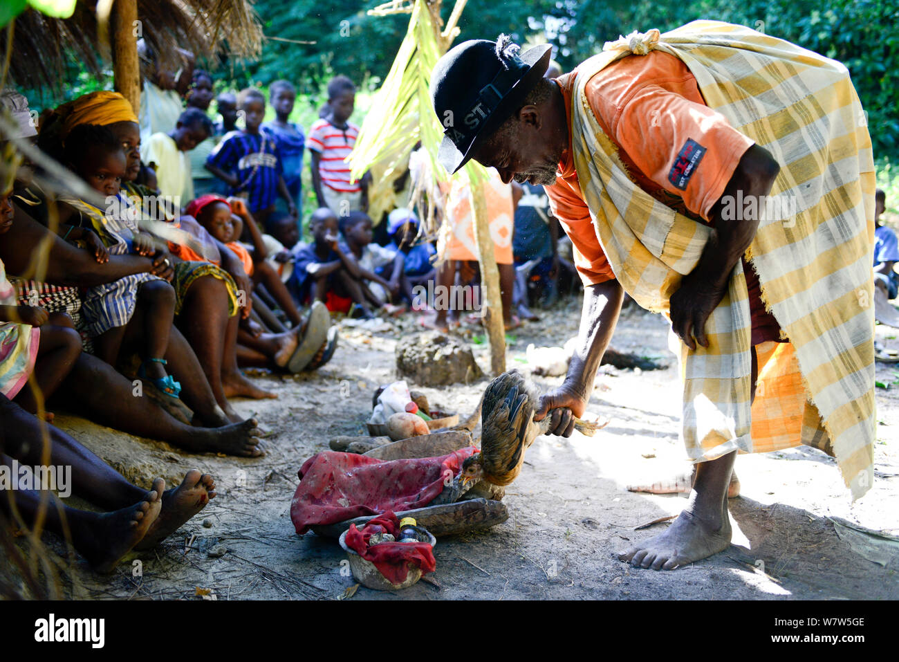 Chicken sacrifice hi-res stock photography and images - Alamy