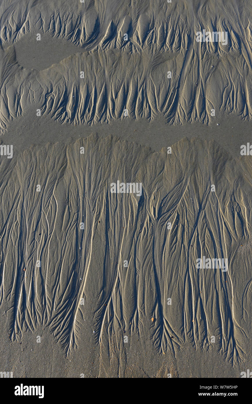 Natural patterns hi-res stock photography and images - Alamy