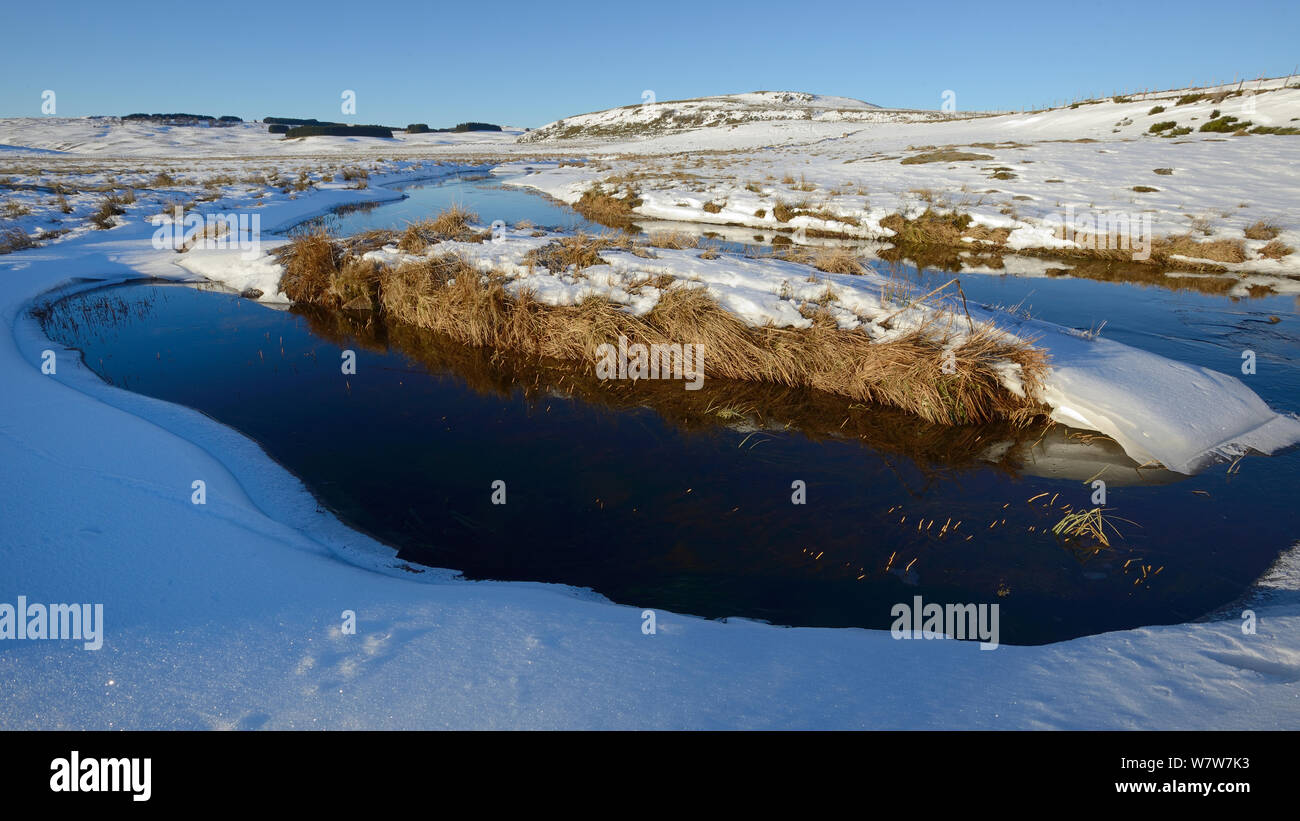 Snowy river landscape, Plateau d'Aubrac in winter, Lozere, Auvergne ...