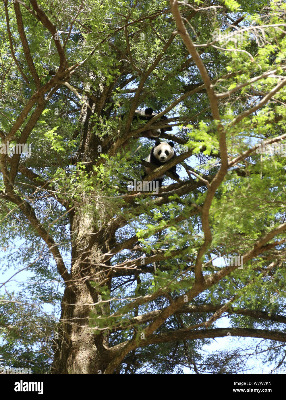 Foping county hi-res stock photography and images - Alamy
