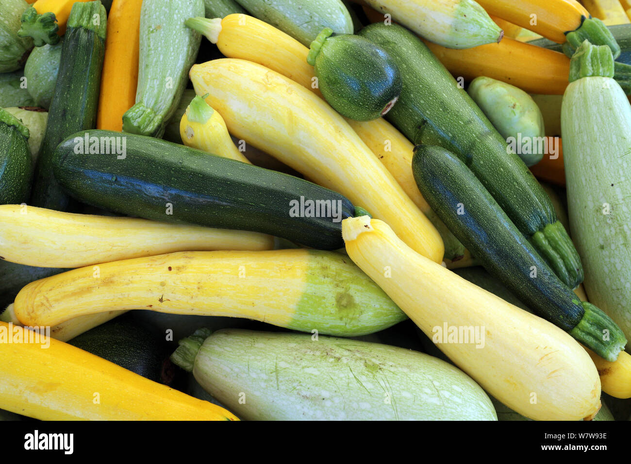 Zucchini type hi-res stock photography and images - Alamy