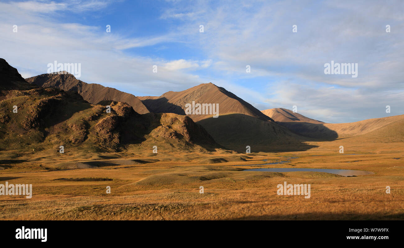 Boguty hi-res stock photography and images - Alamy