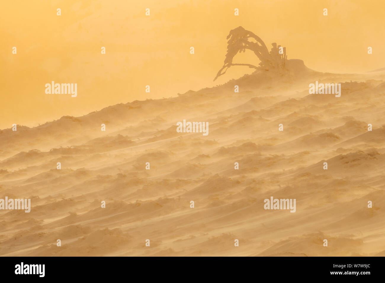 Dawn lorraine hi-res stock photography and images - Alamy