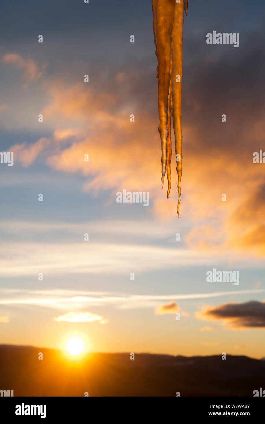 Nordic setting hi-res stock photography and images - Alamy