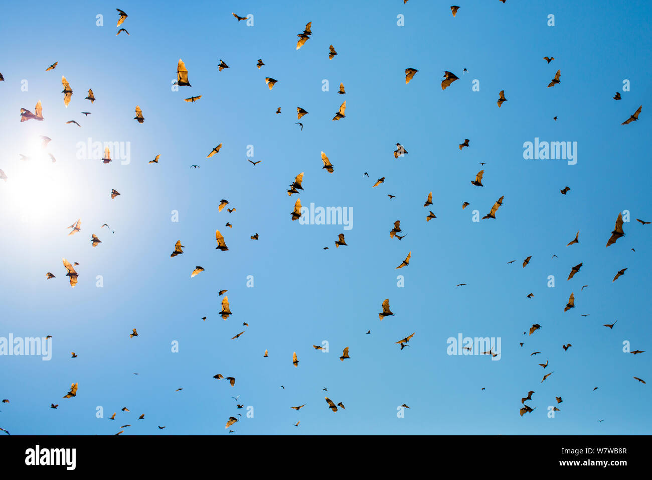 Mega park hi-res stock photography and images - Alamy