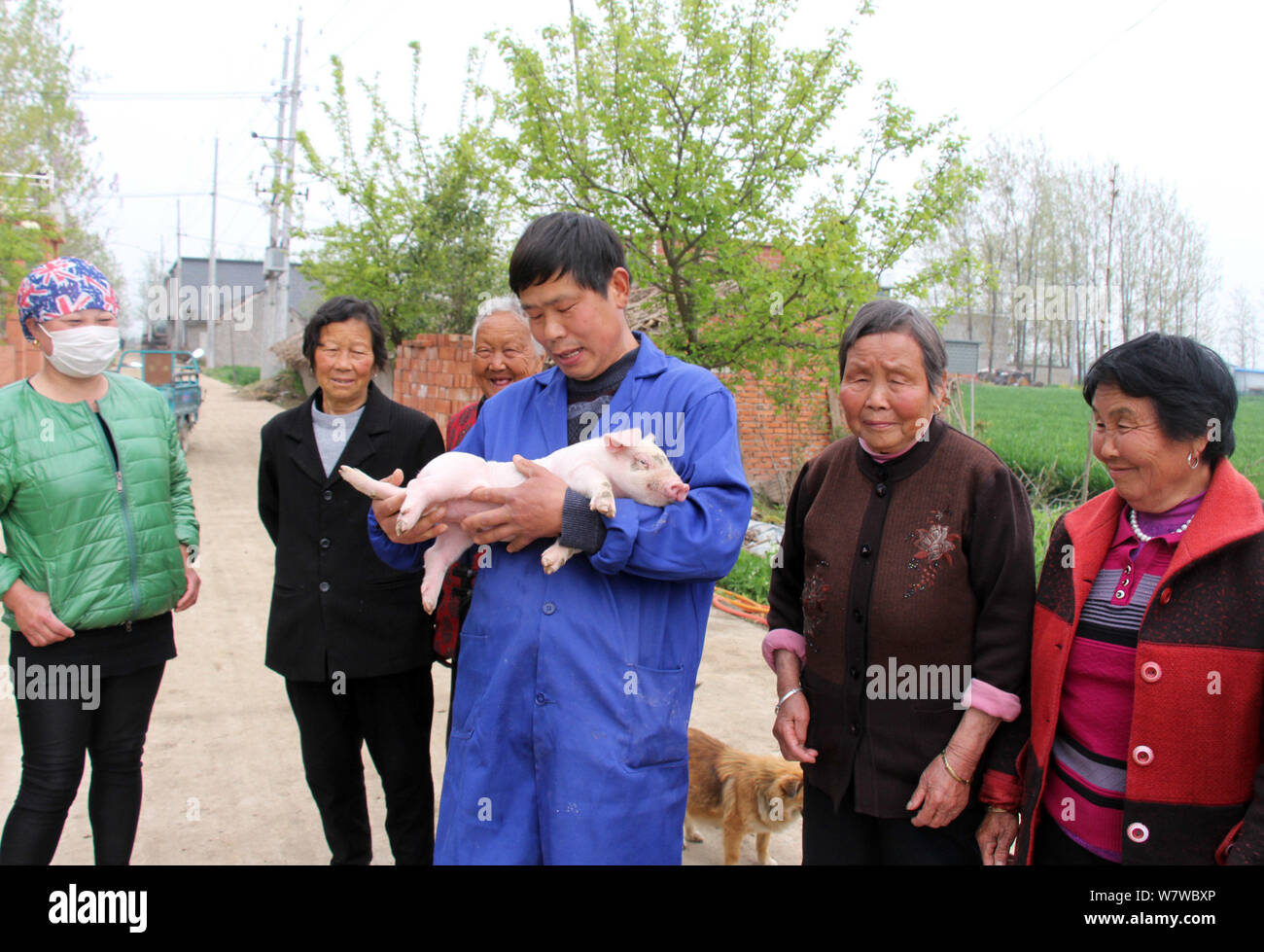 A Chinese man holds a six-footed piglet at a pig farm at a village in ...
