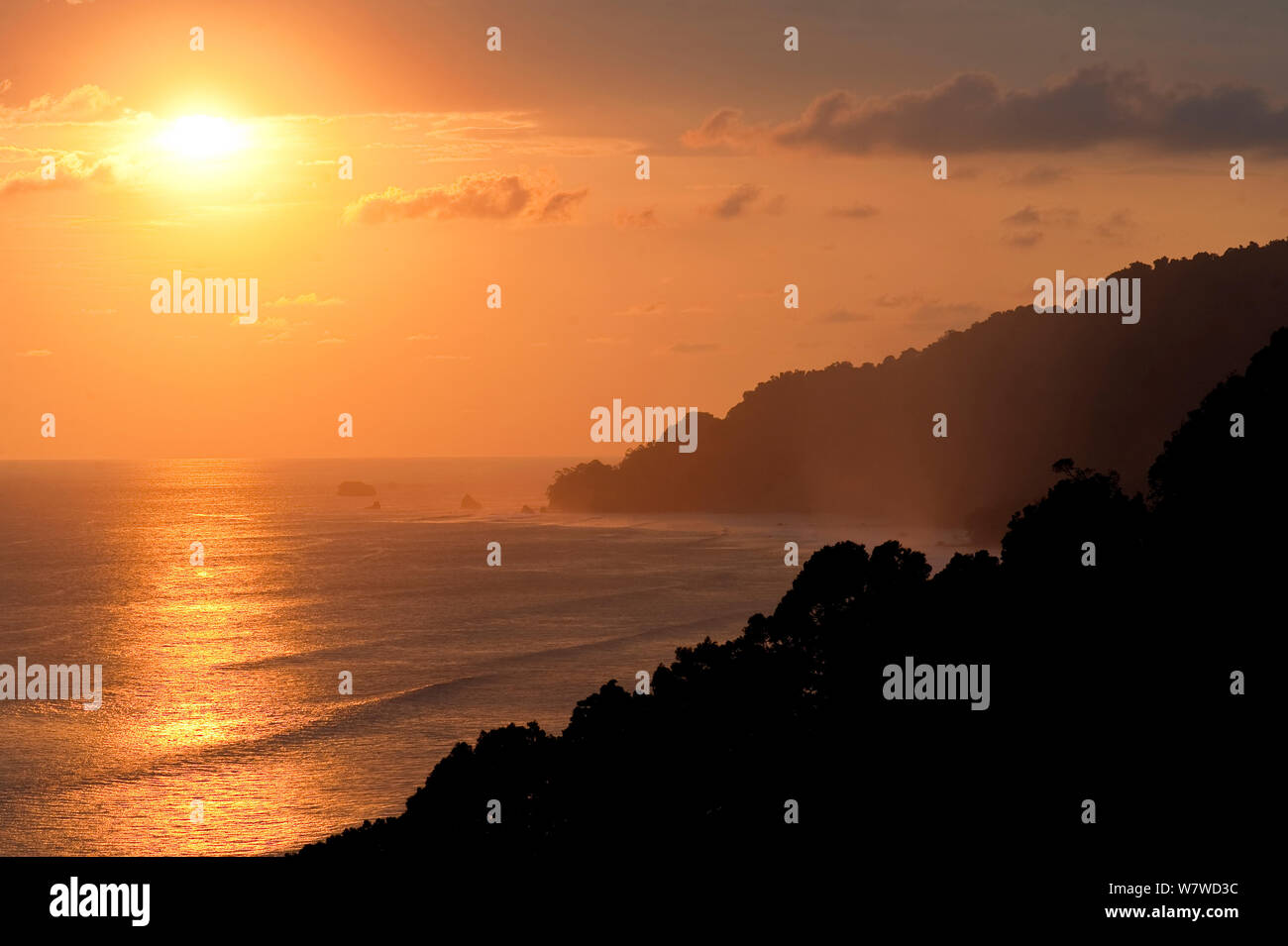 Tropical lowland rainforest and the Pacific ocean at sunset, Corcovado ...