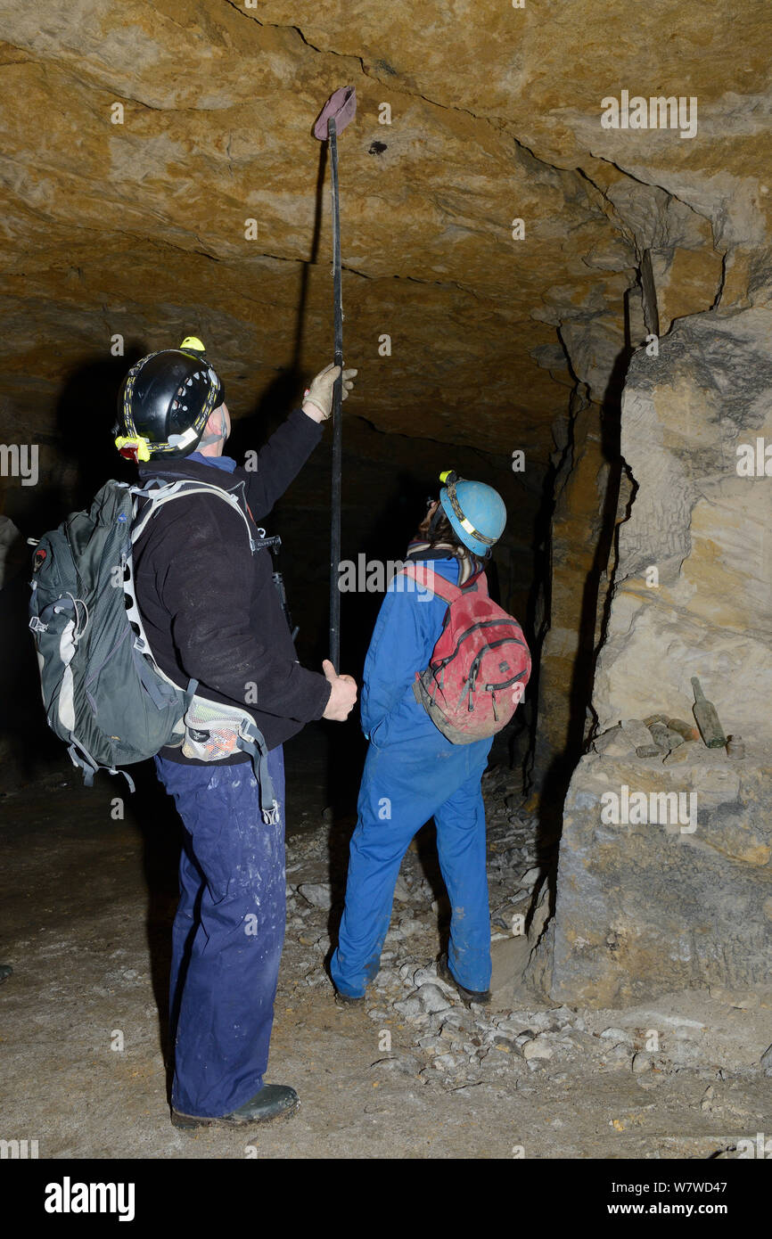 Bat cave scientist hi-res stock photography and images - Alamy