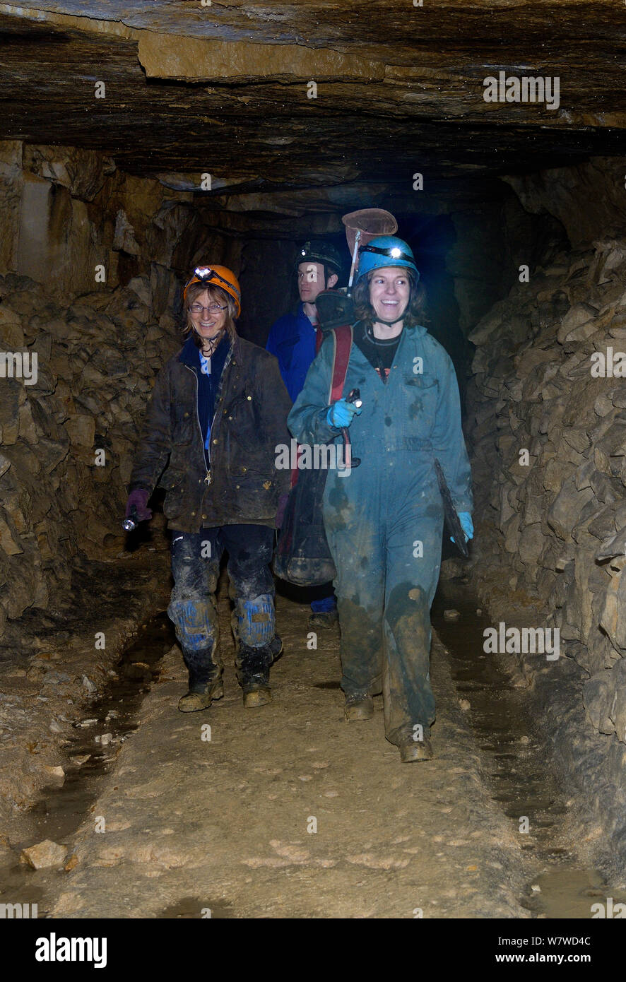 Dr. Fiona Mathews leading a Bat survey team exploring old Bath stone ...