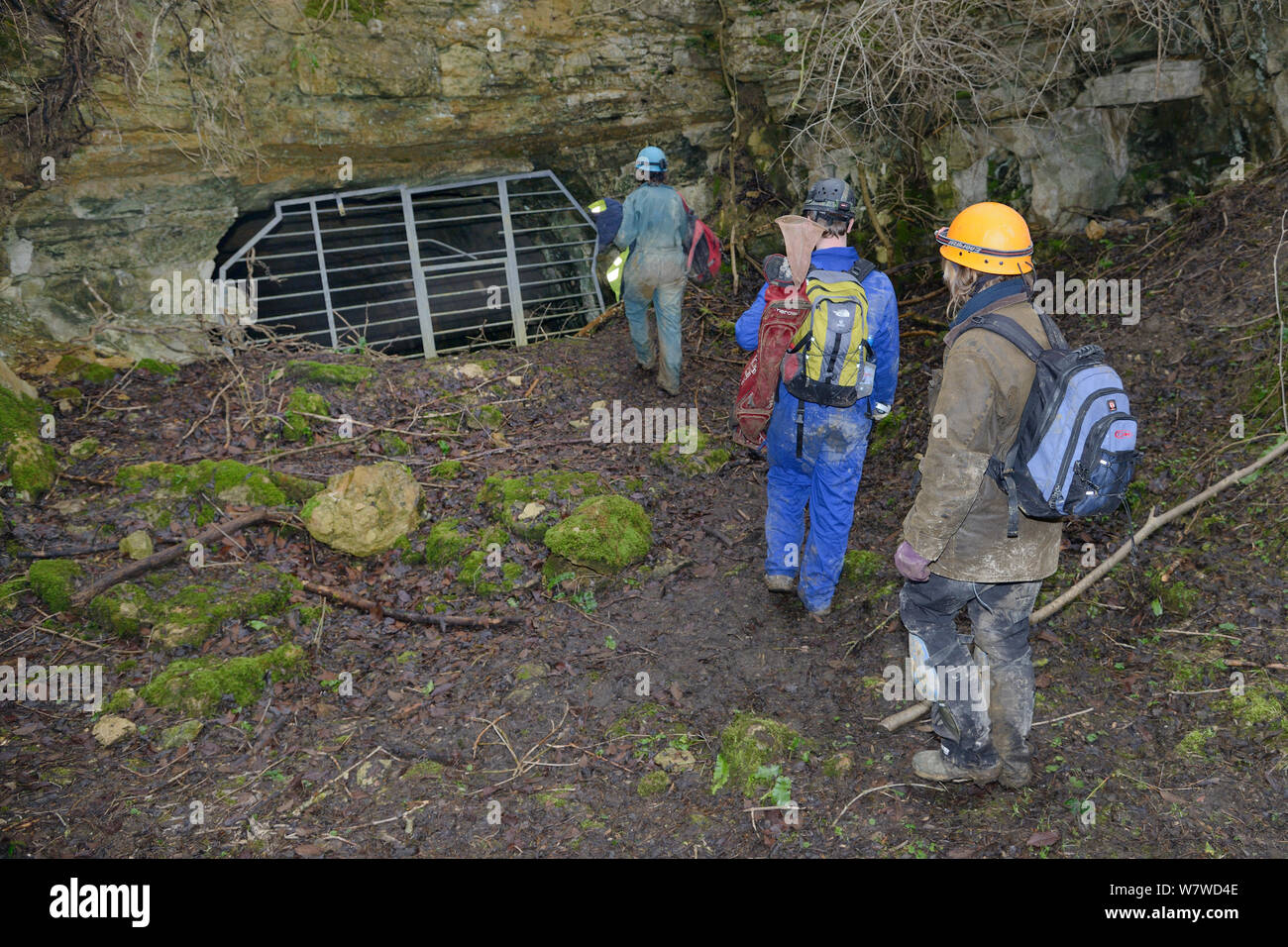 Dr. Fiona Mathews leads a survey team to the entrance of an old Bath ...