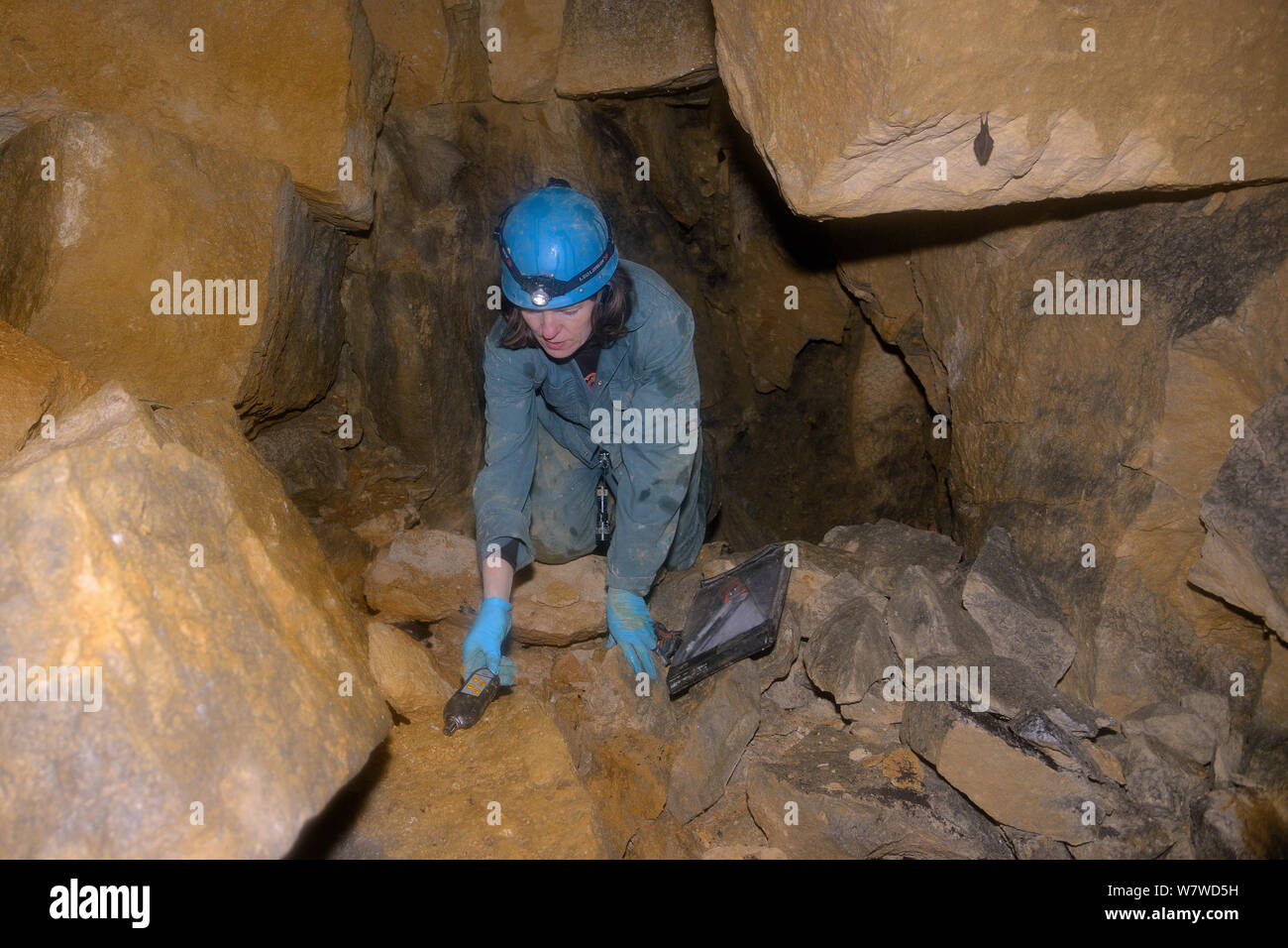 Bat cave england hi-res stock photography and images - Alamy
