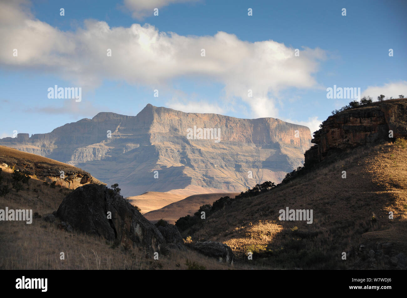 Giants castle mountain, Drakensberg, KwaZulu-Natal, South Africa, July ...