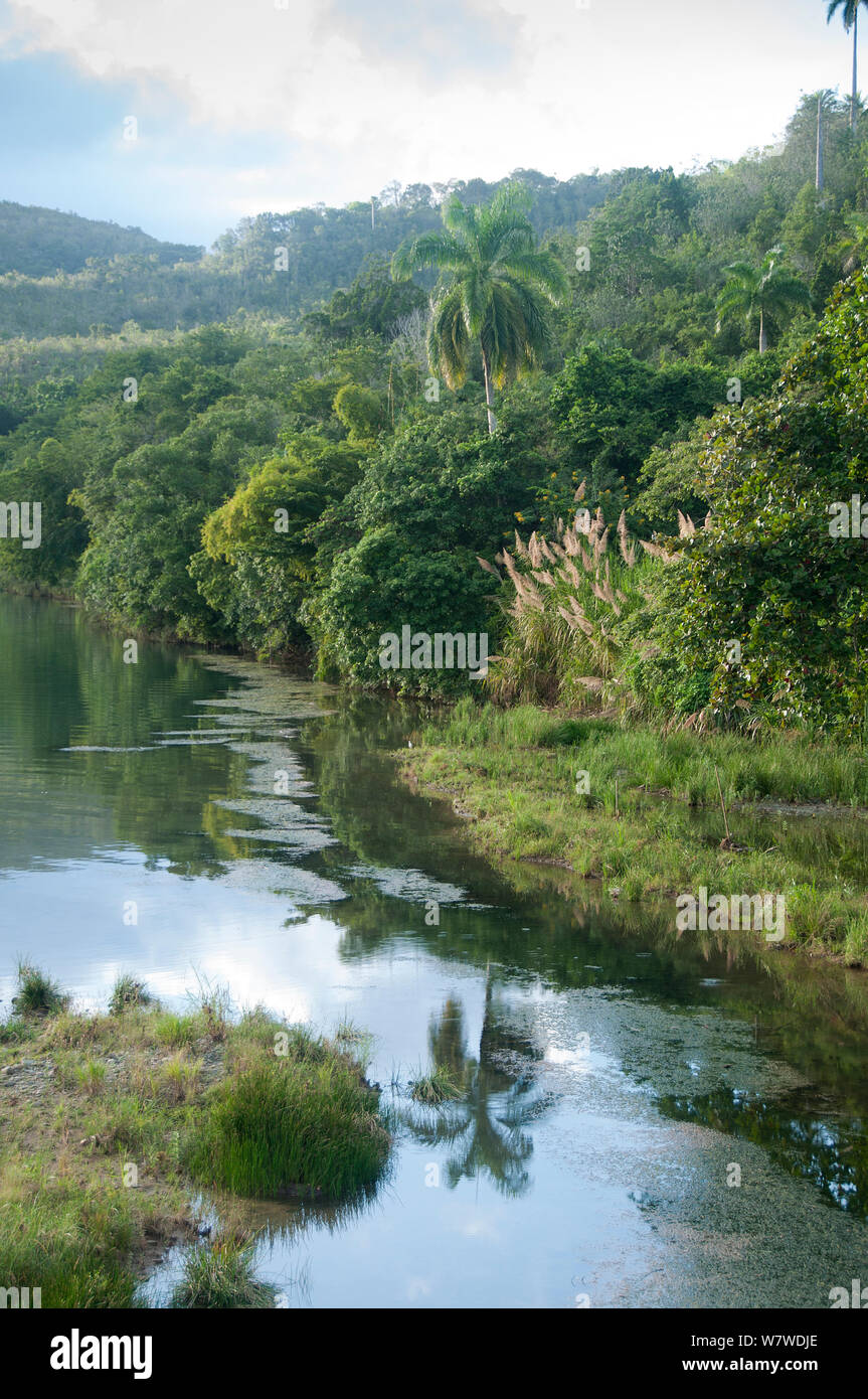 Cuba baracoa toa hi-res stock photography and images - Alamy