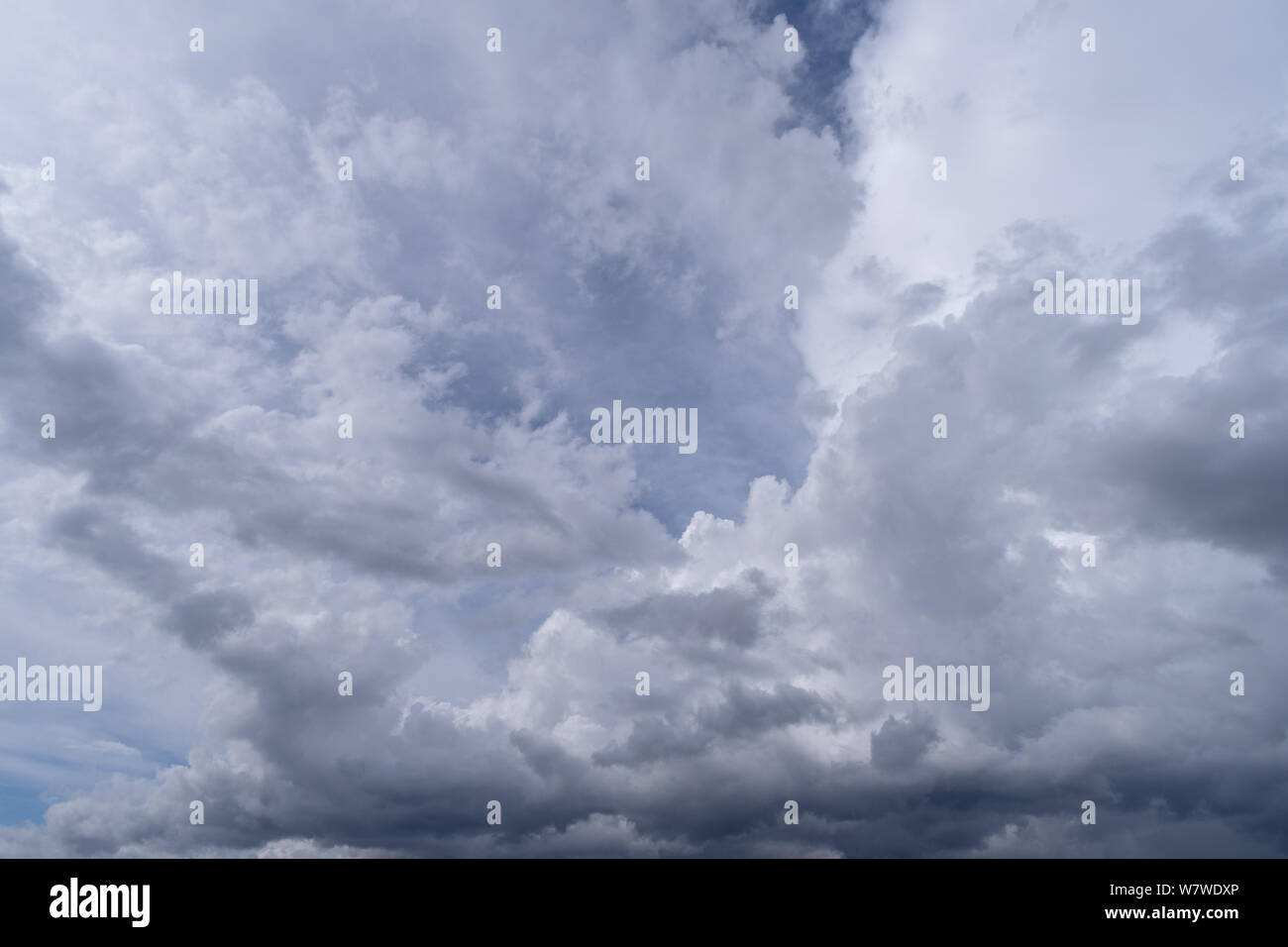 Towering cumulonimbus clouds accompanied by smaller cumulus clouds ...