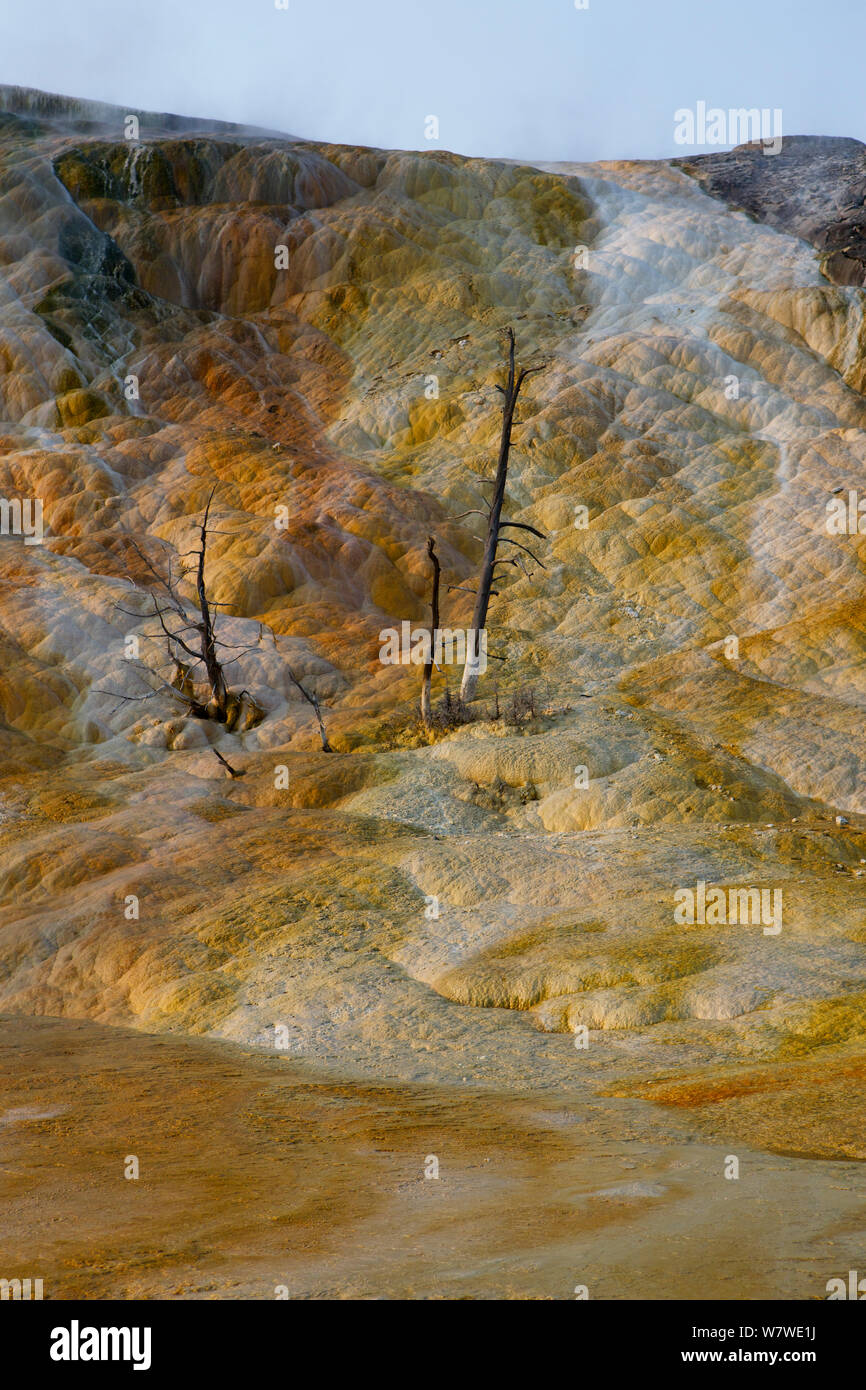 Geothermal formations, Travertine terraces, Mammoth Springs ...