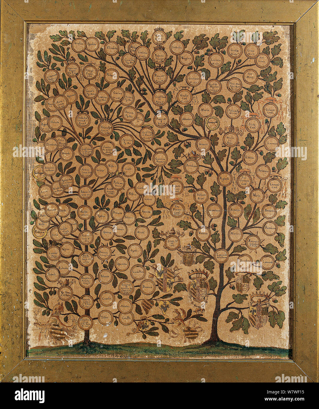 Italy Marche Urbania Civic Museum - Unknown painter "Family tree of the ...