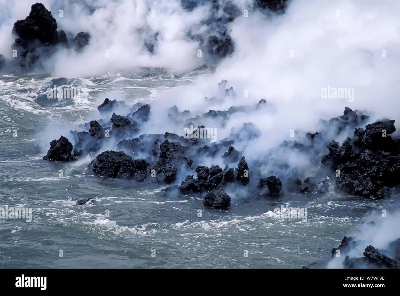 Thick steam billows rising where lava flow enters the sea Stock Photo ...