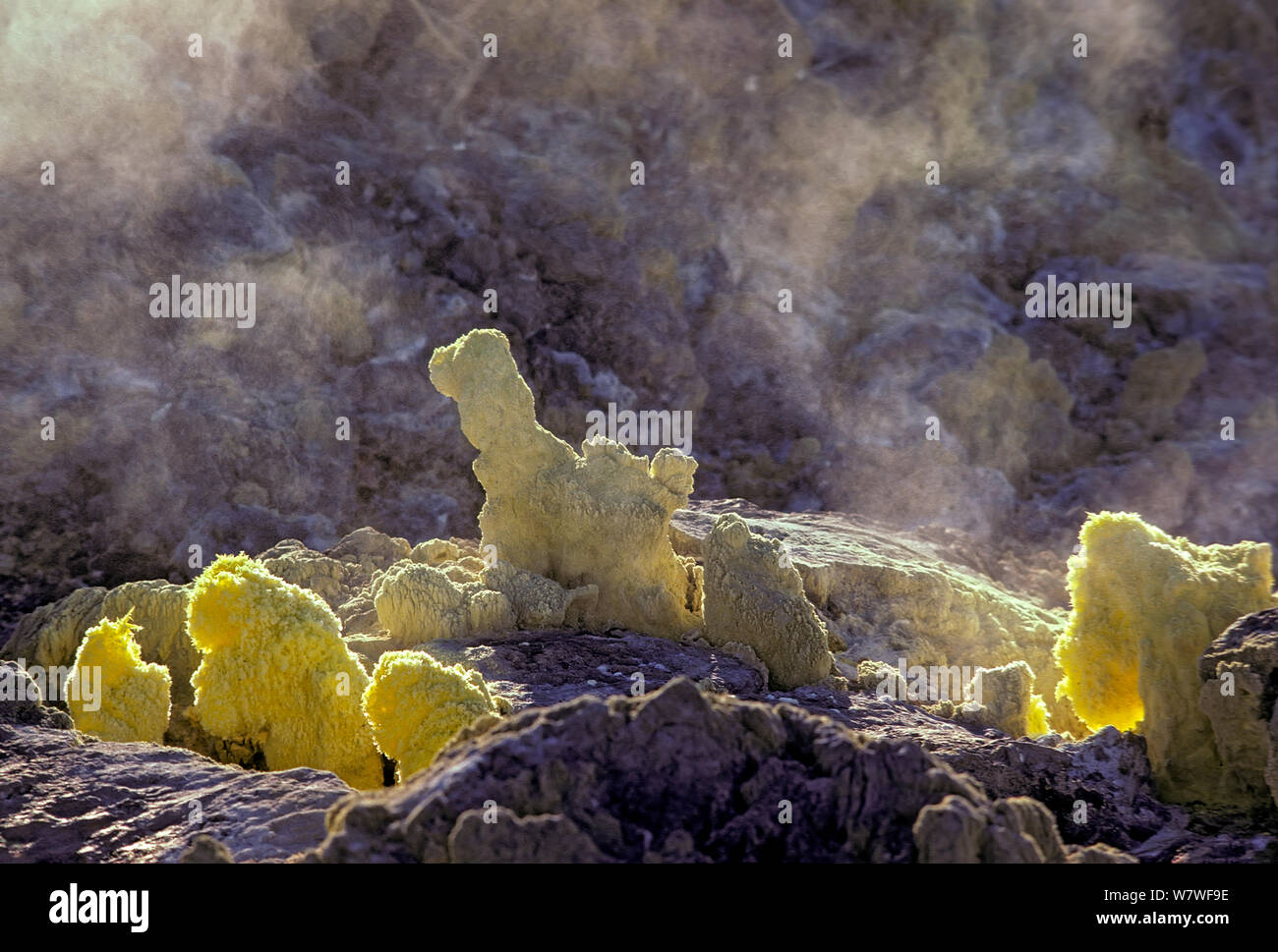 Sulphur fumaroles inside caldera of Sierra Negra Volcano, Galapagos ...