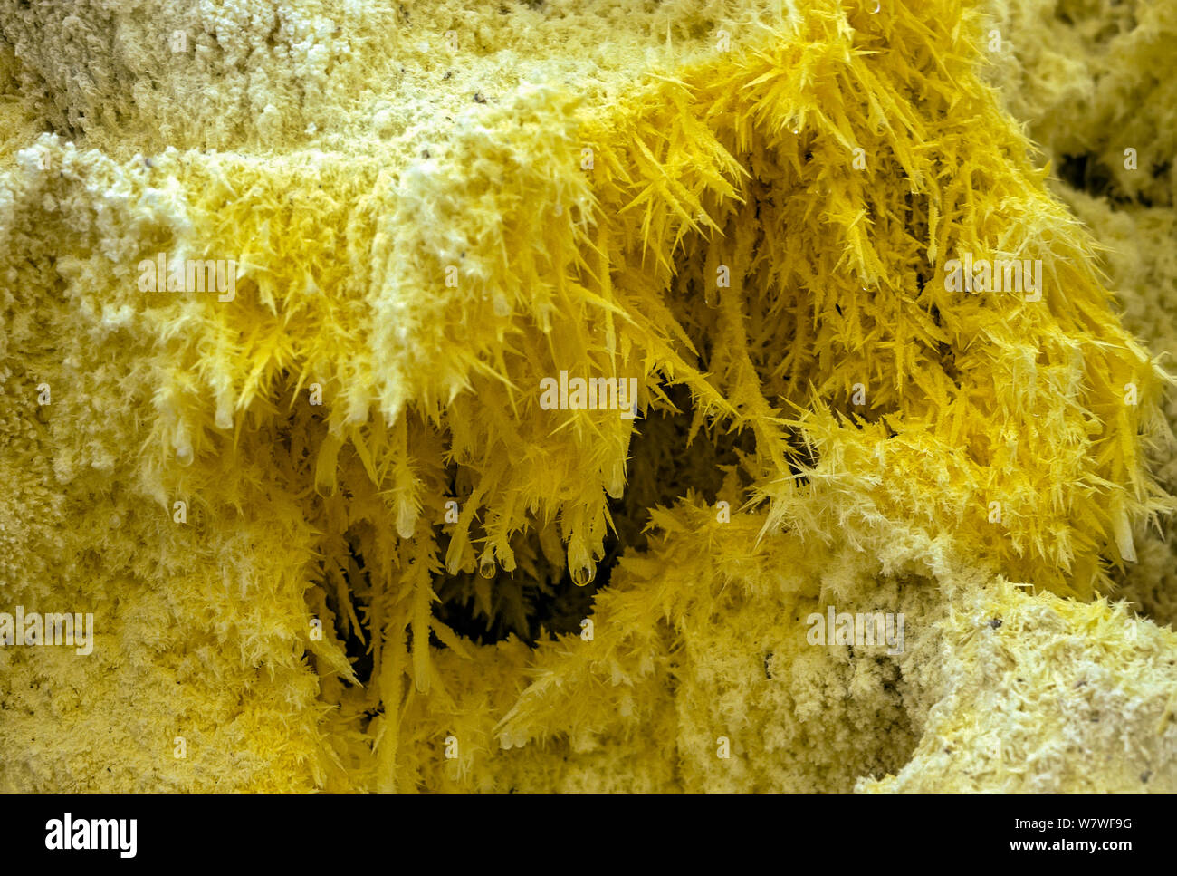Sulphur fumaroles inside caldera of Sierra Negra Volcano, Galapagos ...